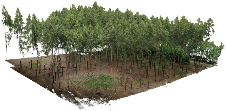A forest-lidar guru turns to SfM (...plus lidar) | Geo Week News A forest-lidar guru turns to SfM (...plus lidar) | Geo Week News